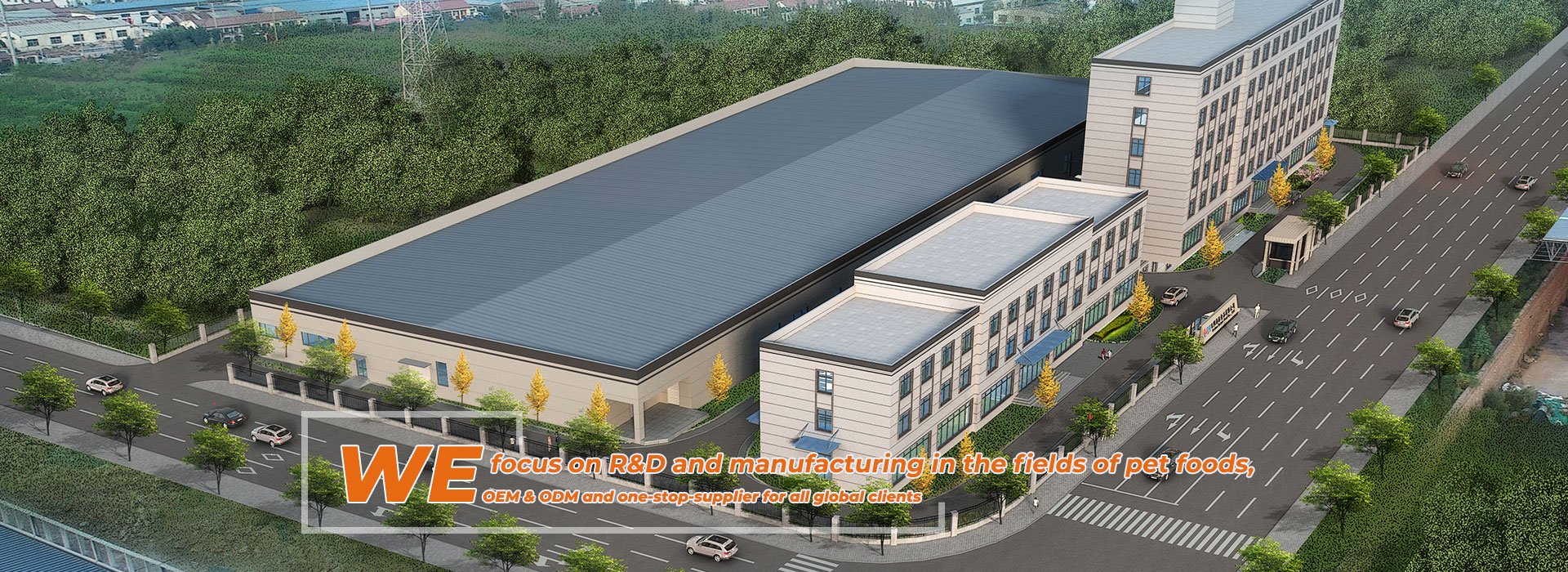 QINGDAO HAIPAI FOODS CO.,LTD